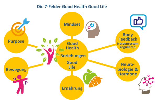 Integraler Health Coach (Fortbildungspunkte angefragt ICF(CCEU ...